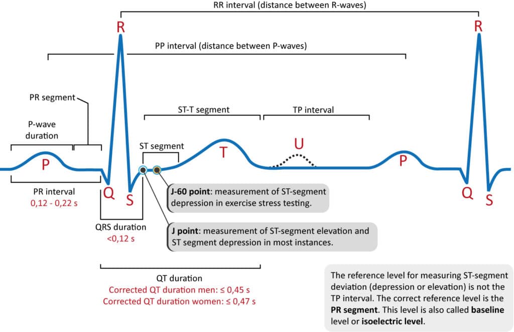 Chapters Archive – Page 13 sur 20 – Médecine Cardiovasculaire
