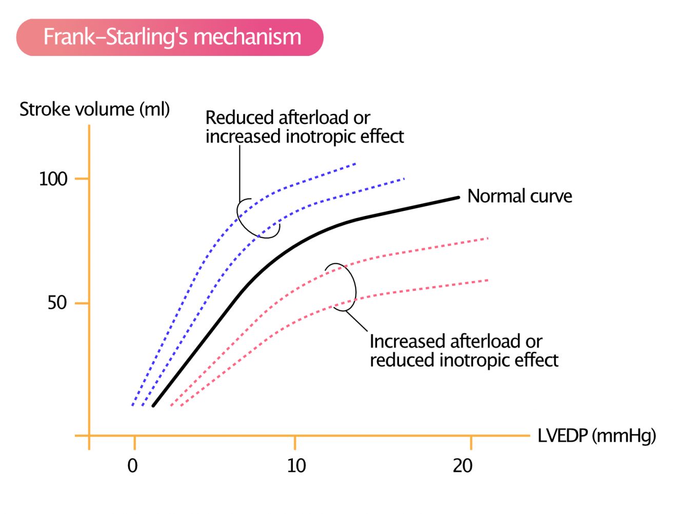 Relation pression ventriculaire-volume : Précharge, postcharge, volume ...