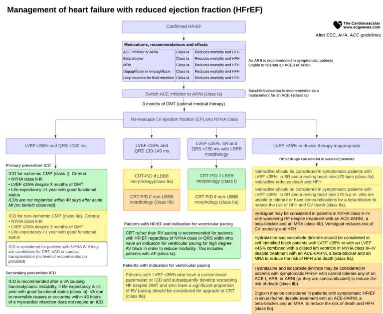 L'insuffisance cardiaque : Du diagnostic à la prise en charge – Sous ...